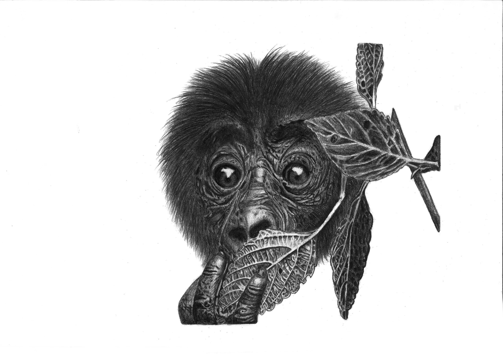 Elizabeth Cueva - Grafitos