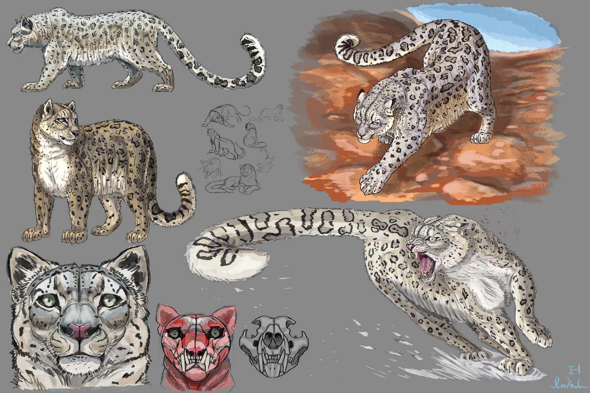 Ian Henderson - Animal Explorations #1