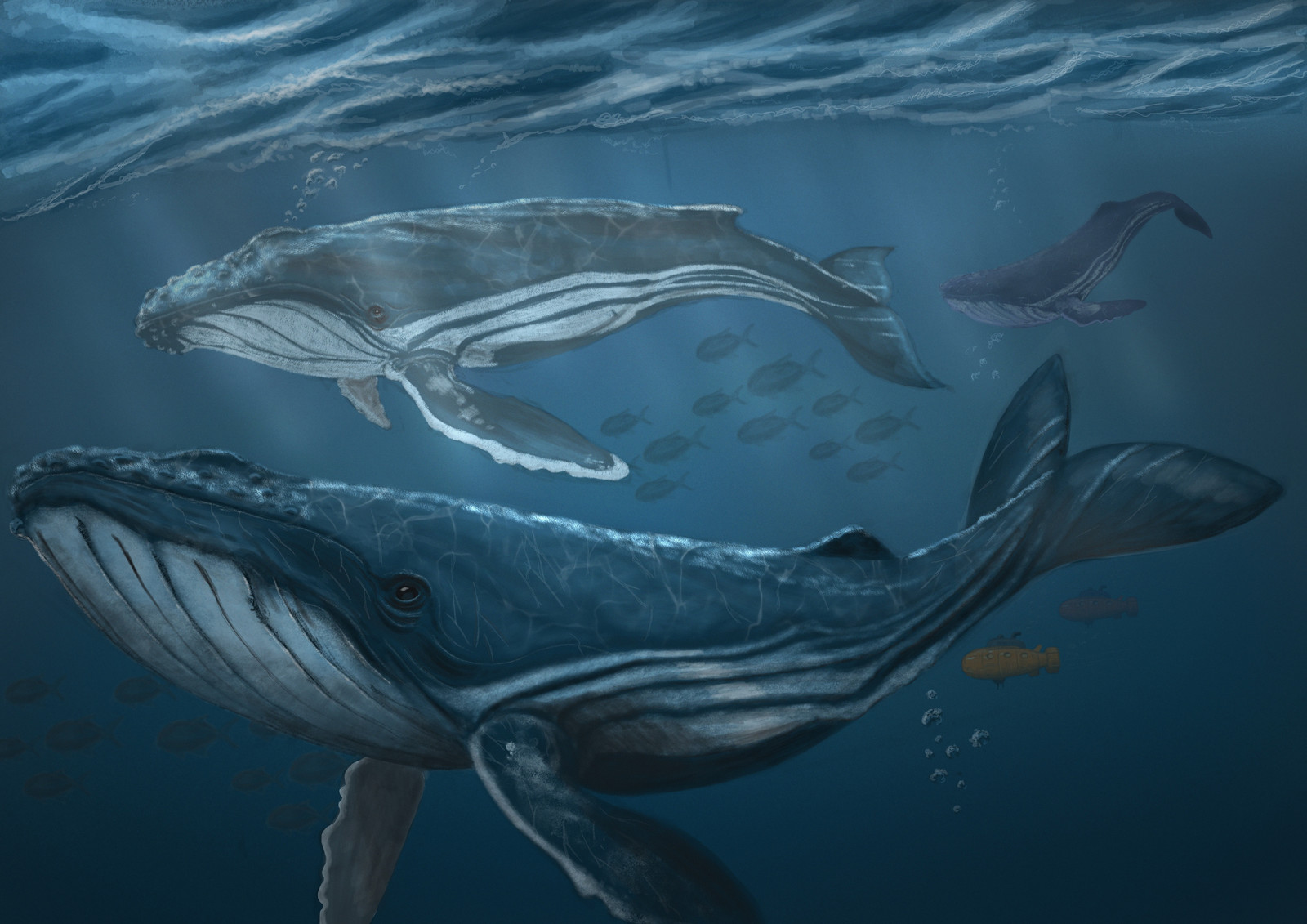 Disney Patterson - Zebra Whales