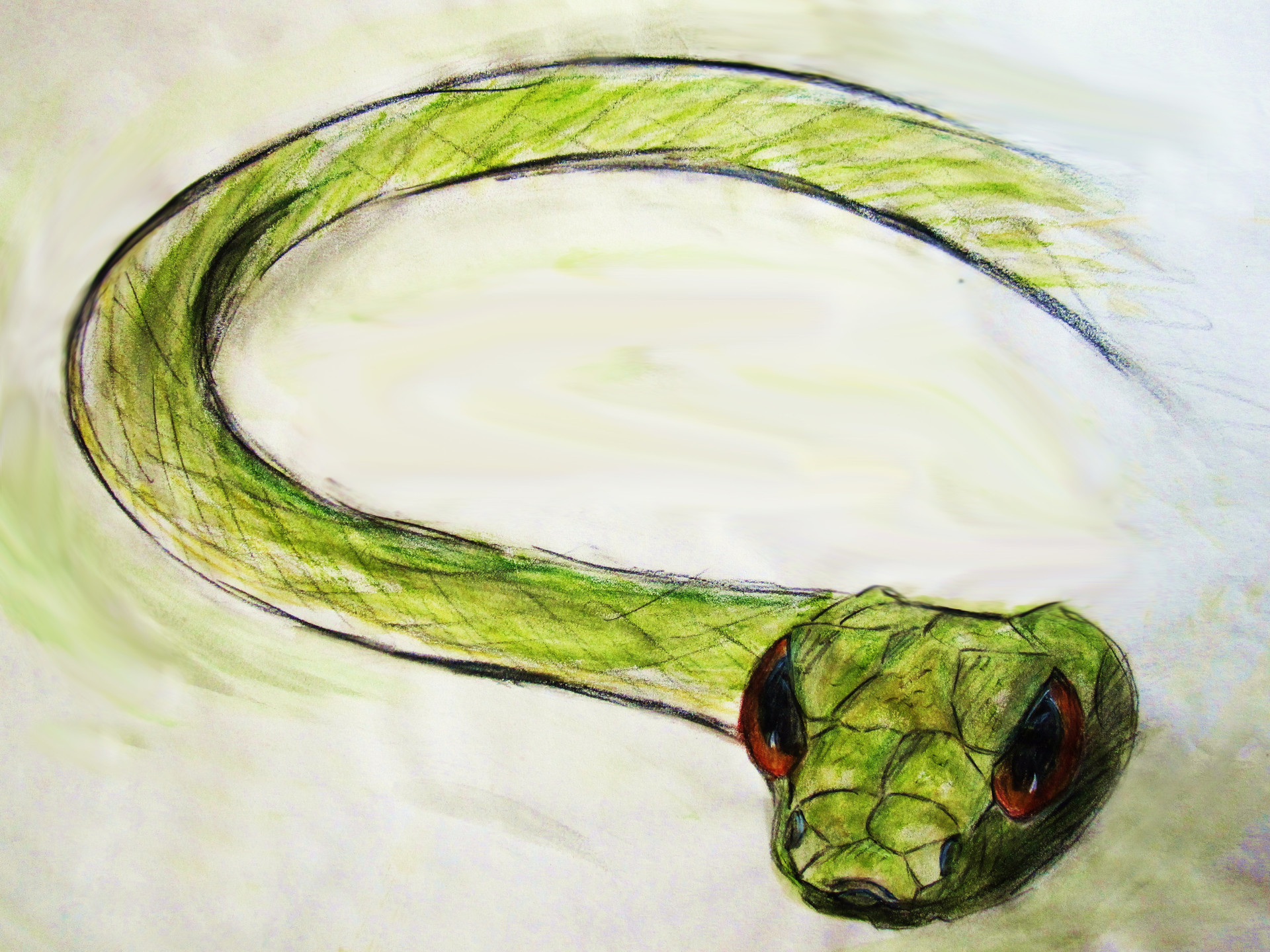 ArtStation - Green tree snake