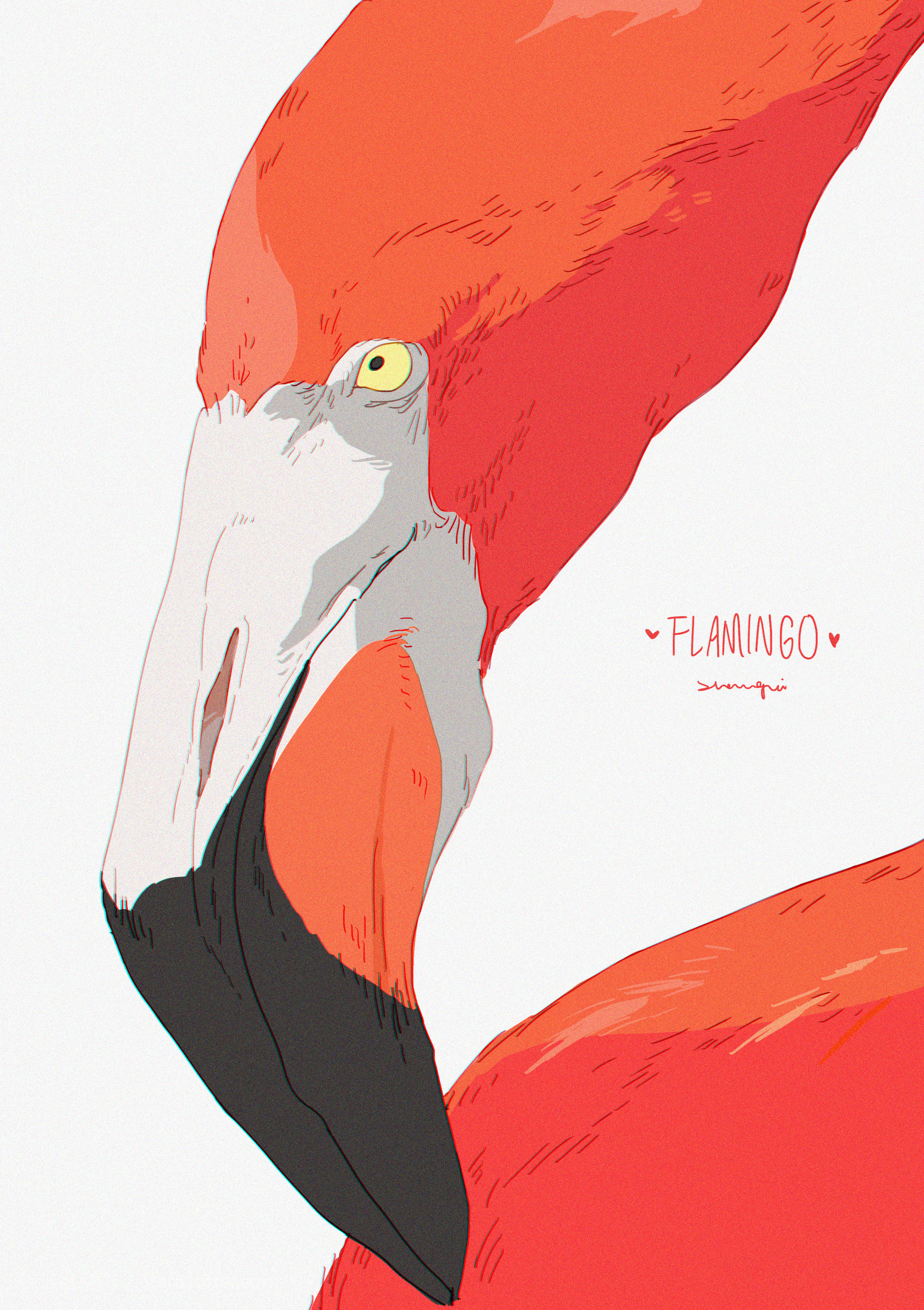 ArtStation - FLAMINGOS