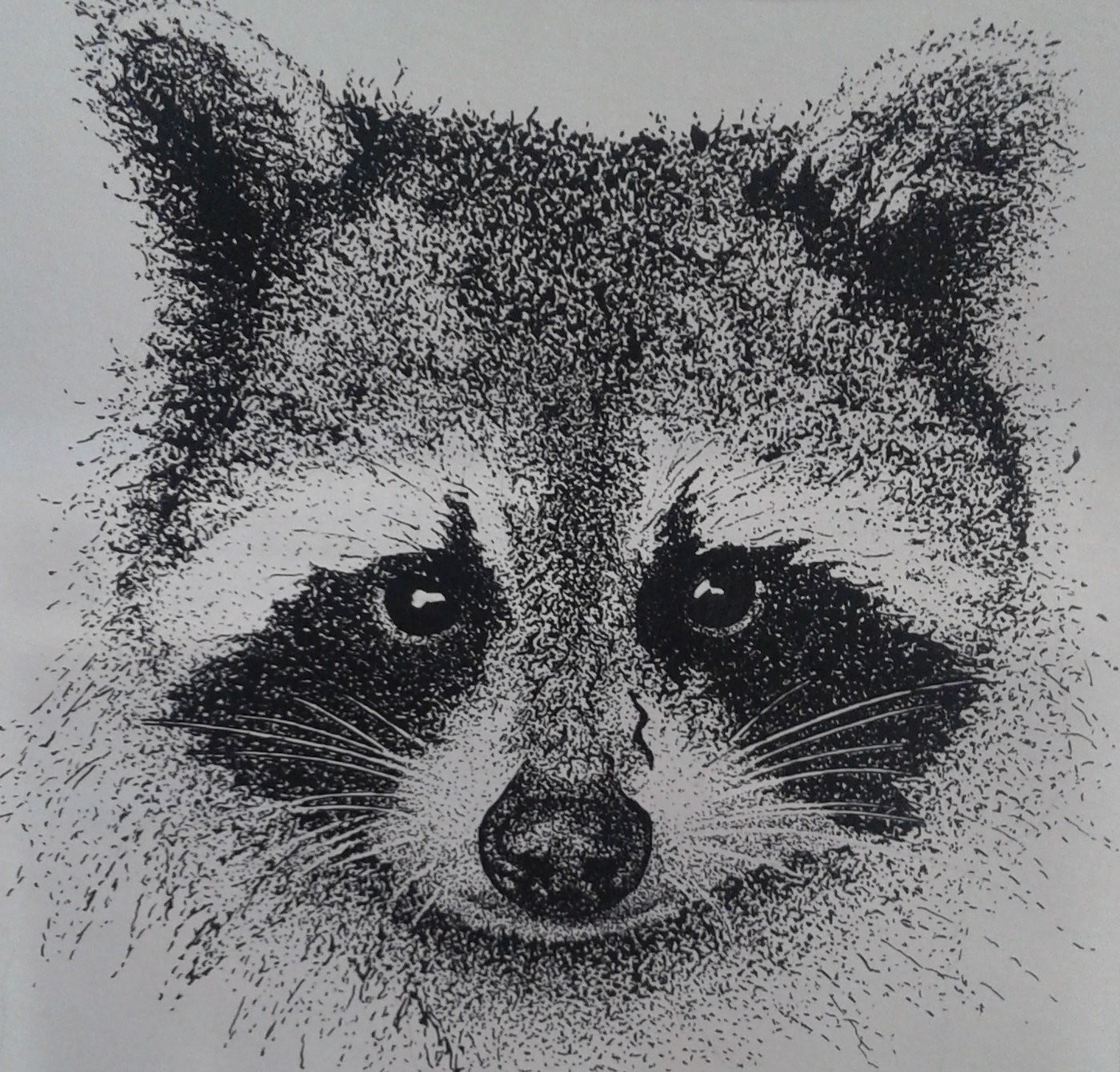 ArtStation - Raccoon with a scar