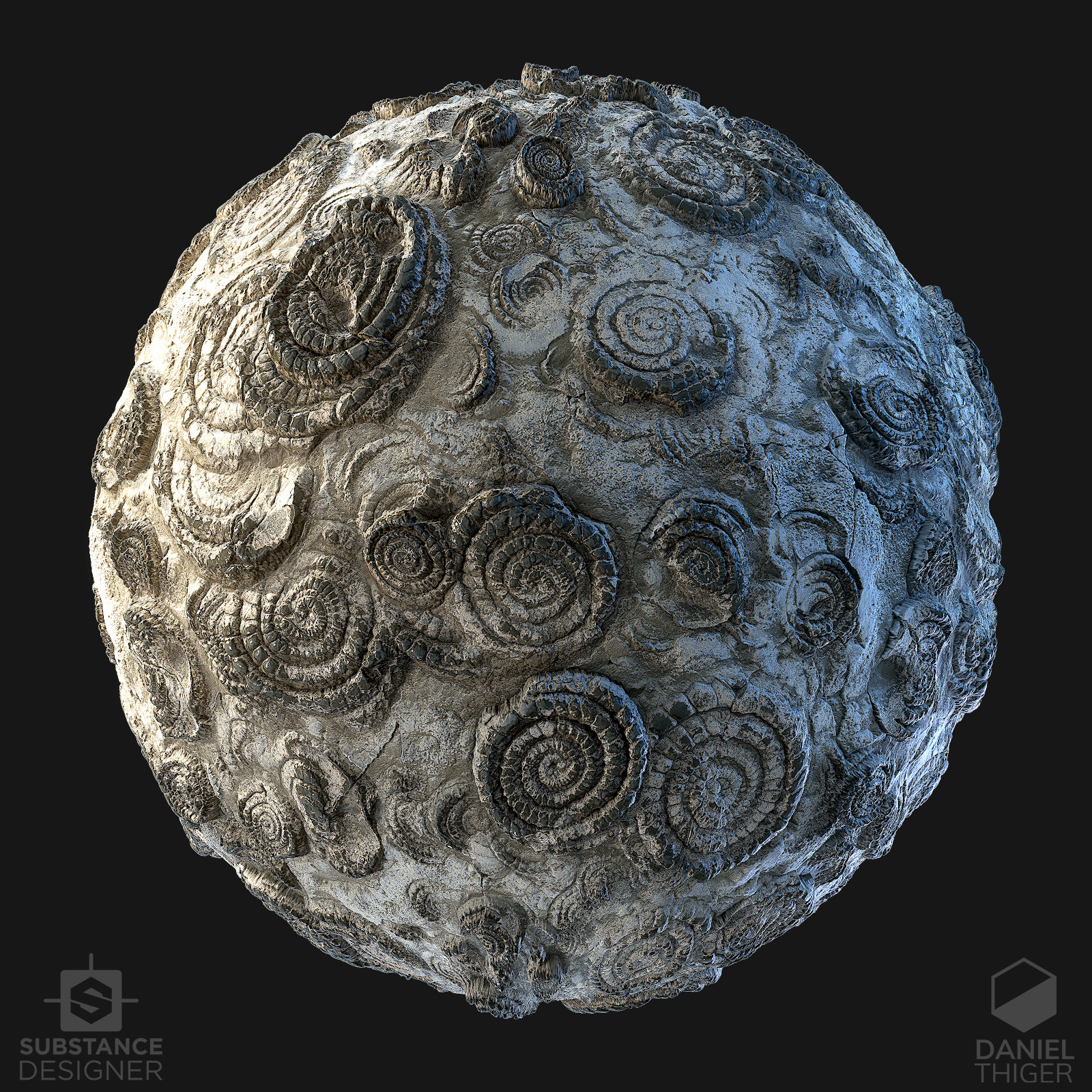 Daniel Thiger - Ammonite Fossil