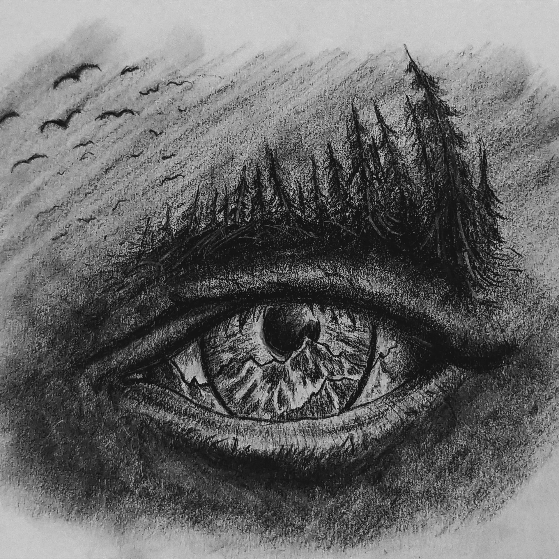 ArtStation - Nature's eye