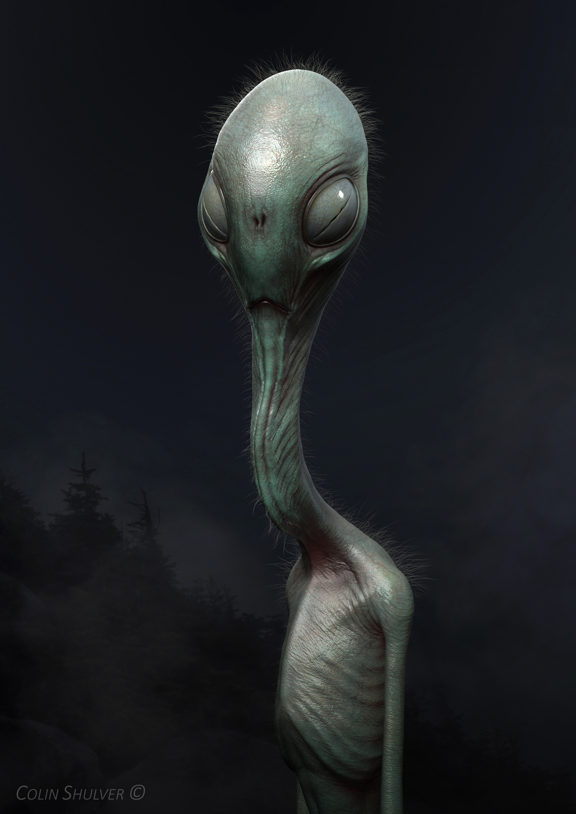 COLIN SHULVER - Creepy Alien