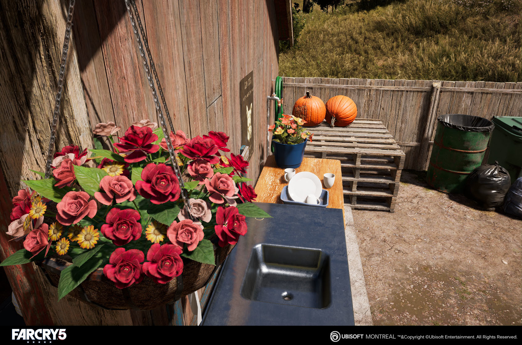 PAULETTE RICHARDSON - FARCRY 5: Flower Props