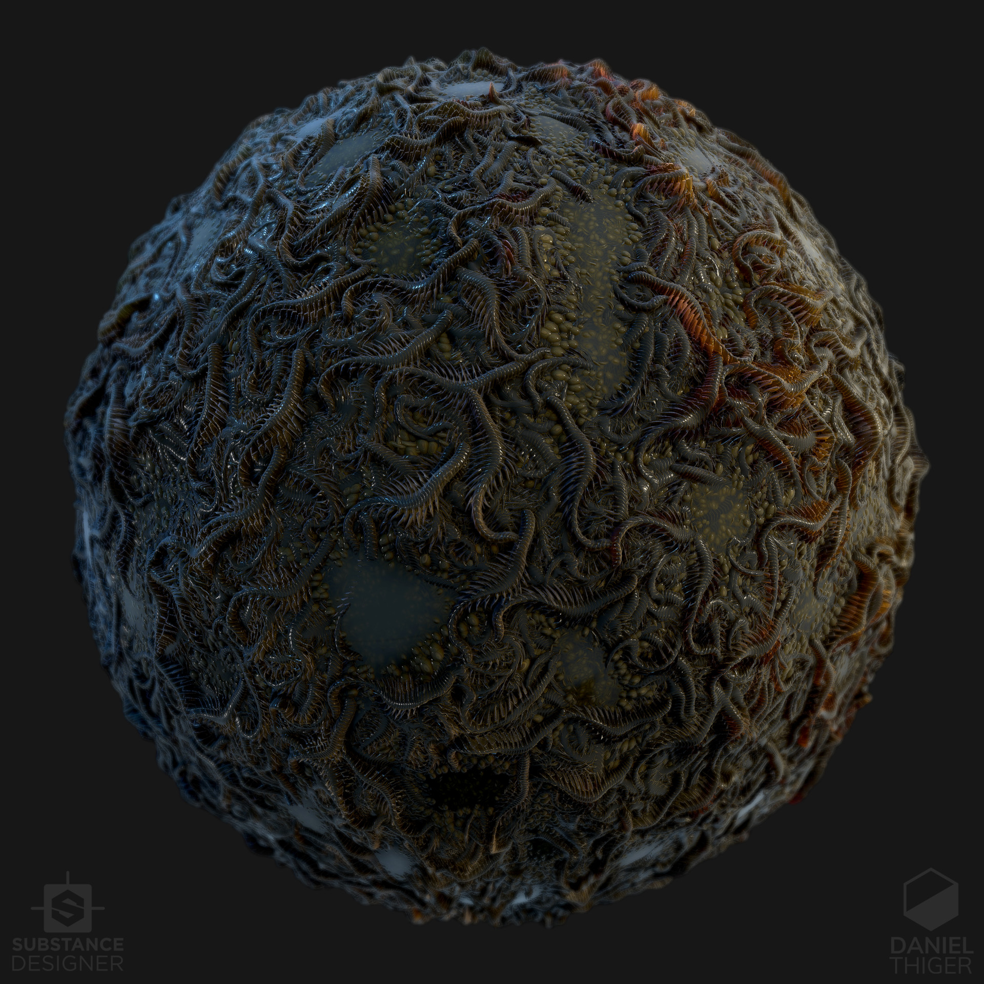 Daniel Thiger - Parasitic Worms