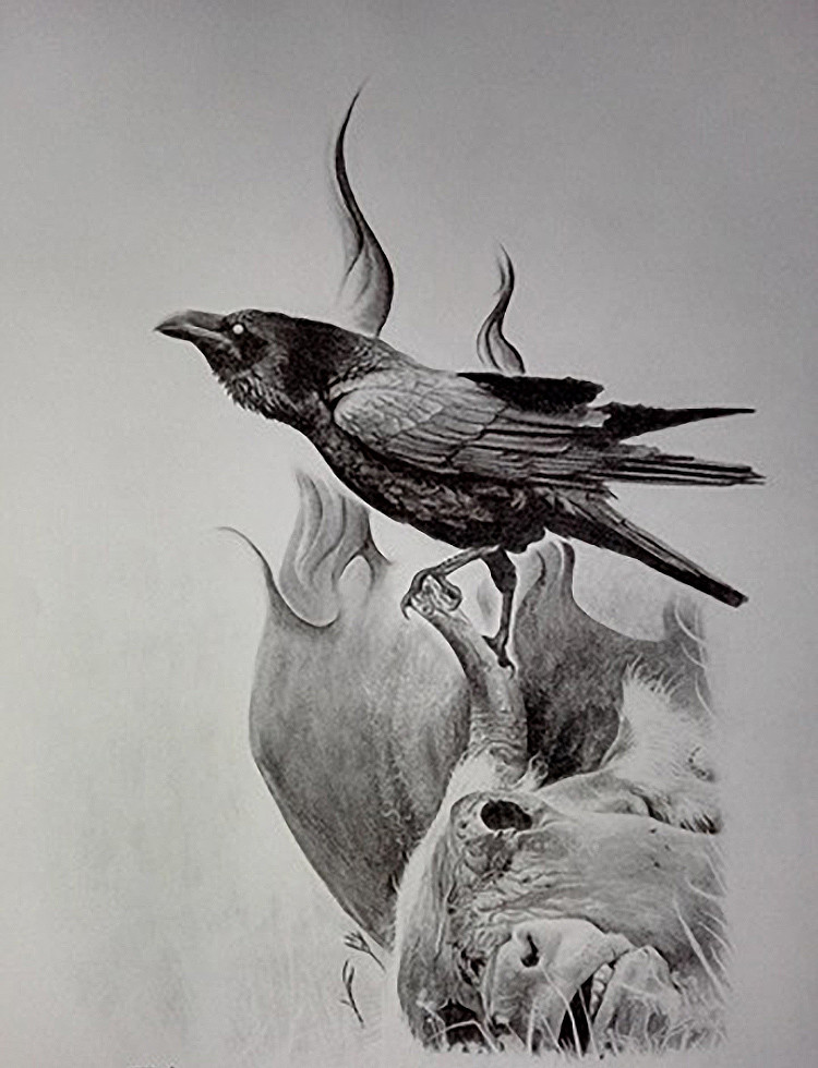 ArtStation - Raven on Carcass