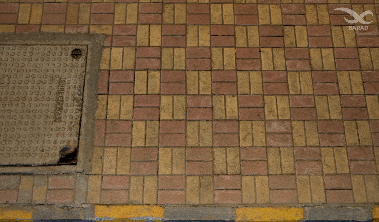 BARAD 3D Scan & Texture - Footpath 3D scan model