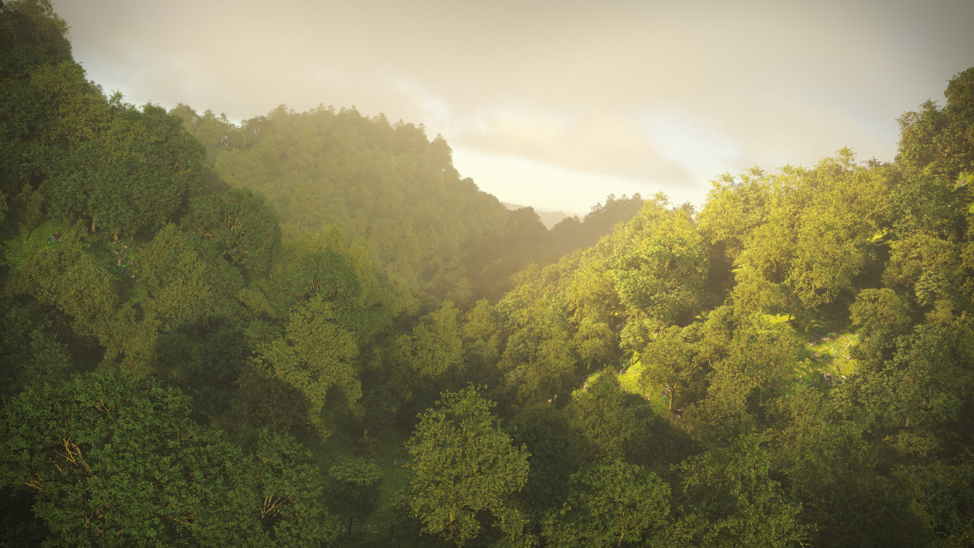ArtStation - Forest Scene C4D Corona