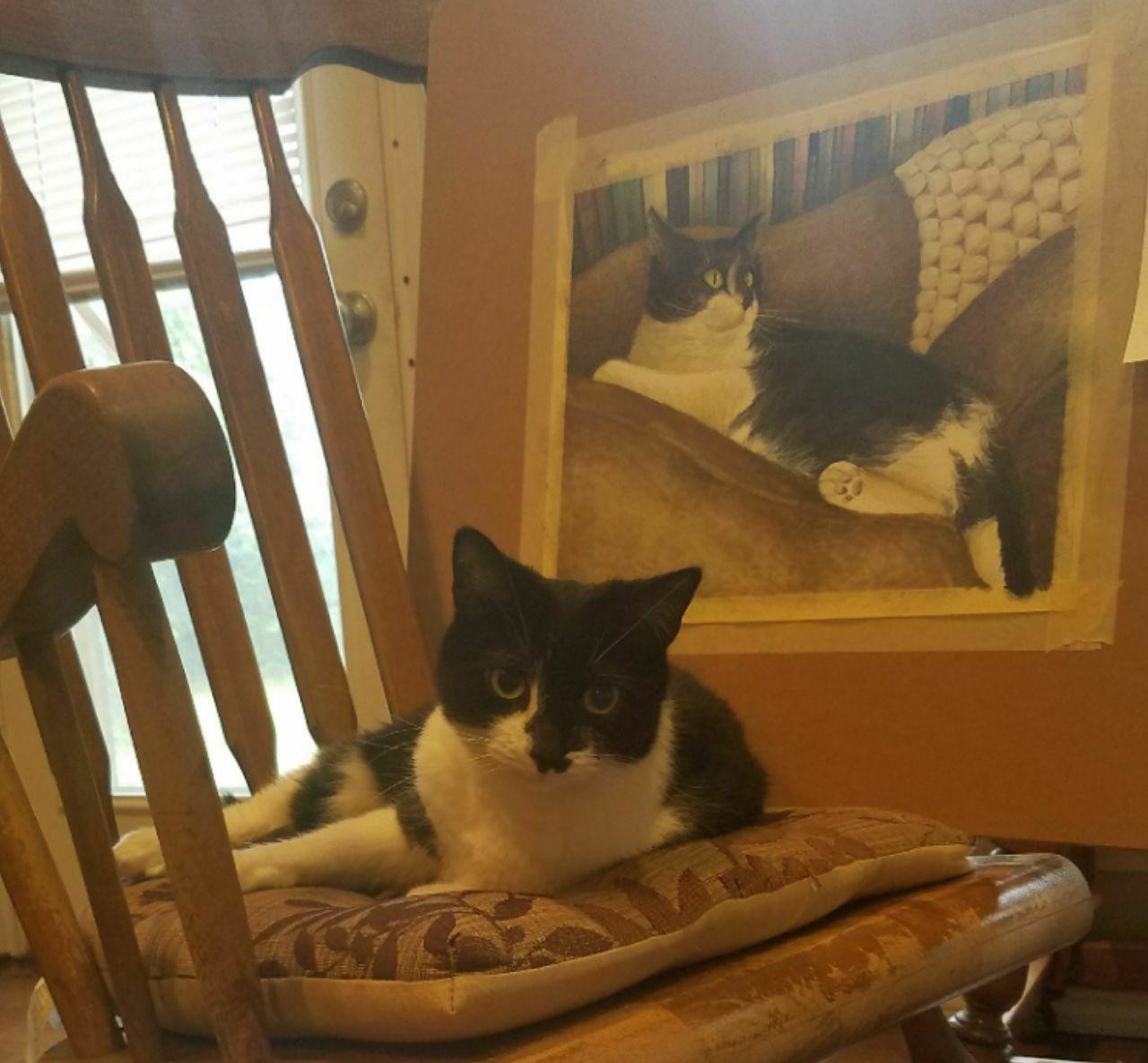 Amelia Hamrick - Velia