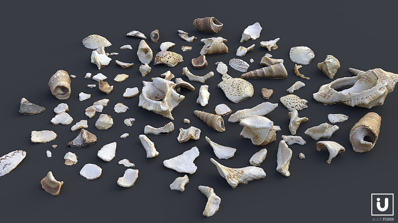 JLE Studios / i-U Asset Studios - iU Nature Asset 702 - Beach Shell ...