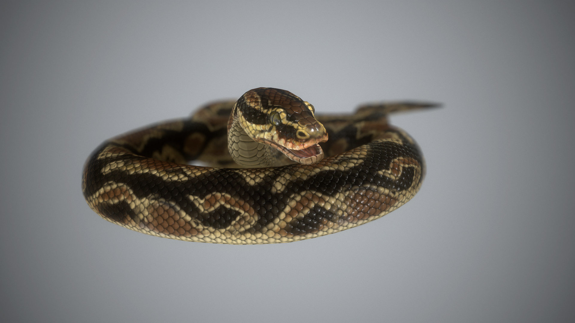 ArtStation - Python Snake