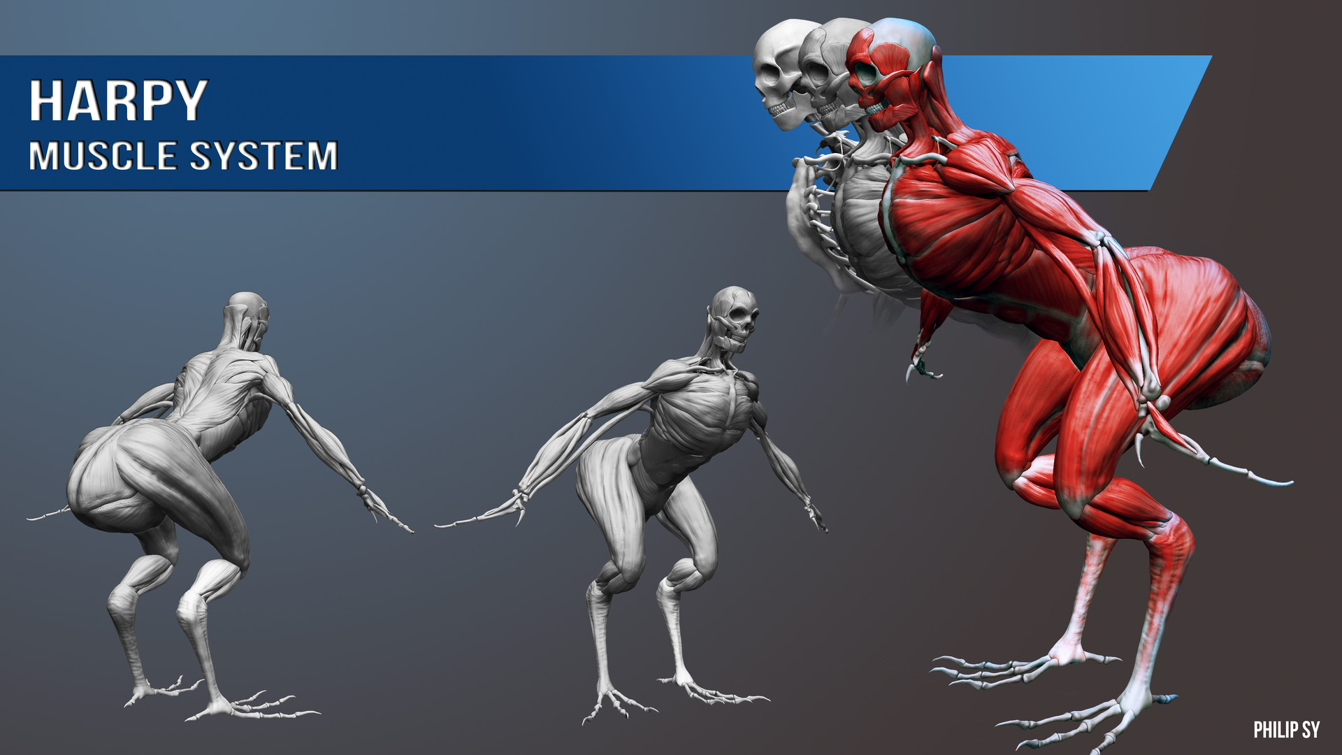 ArtStation - Harpy Anatomy Study 2016