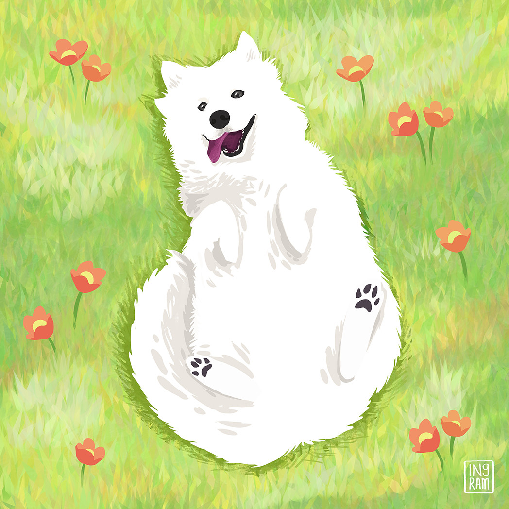 ArtStation - Samoyed