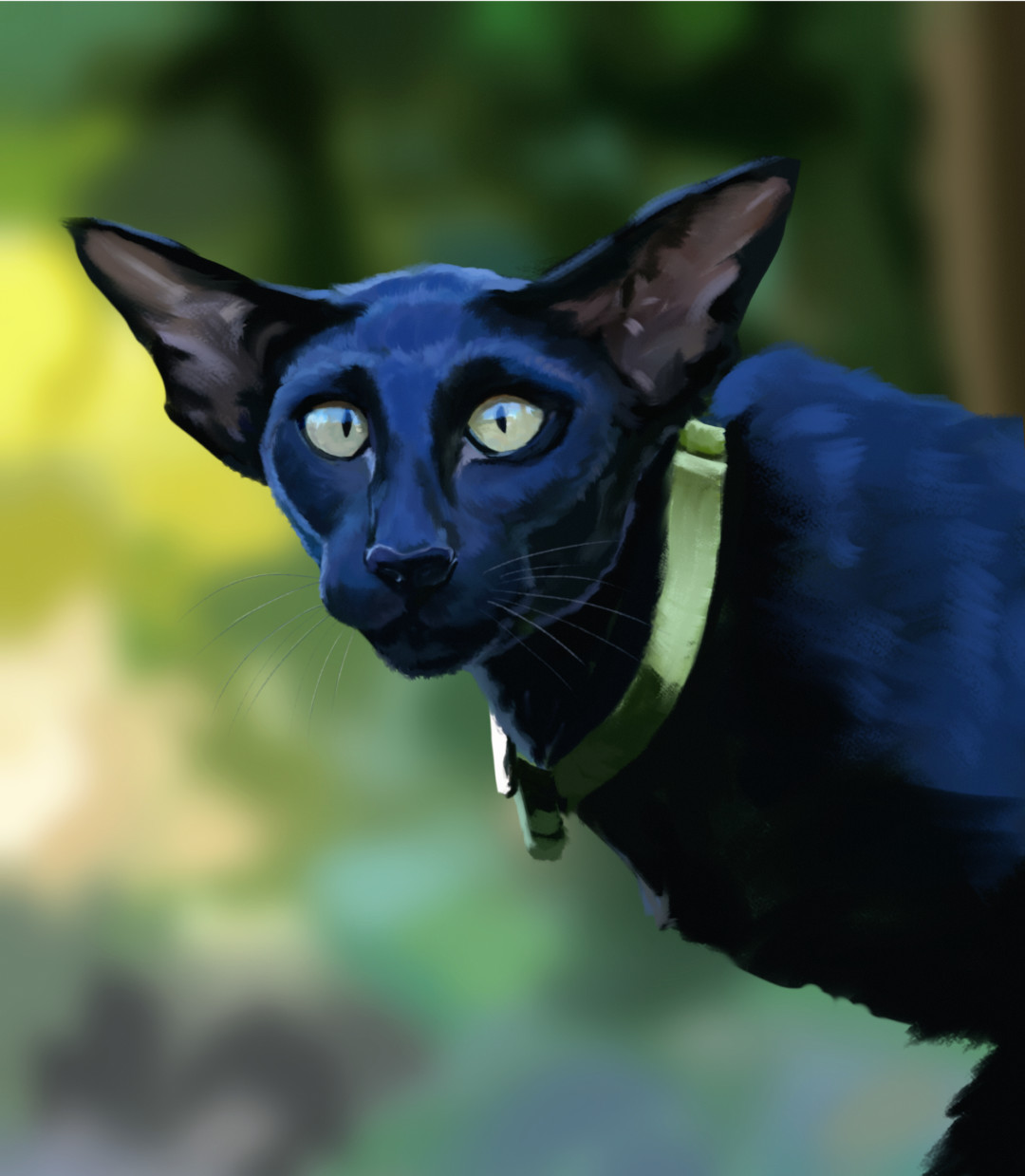 ArtStation - Cat study