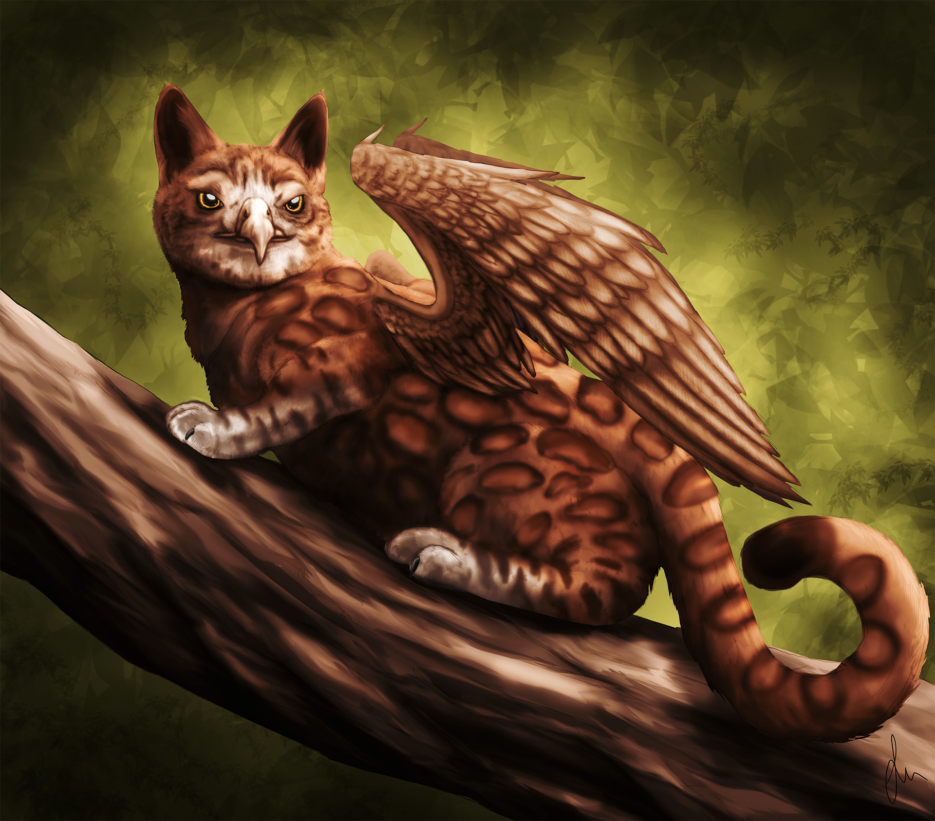 Simone Graf - Cat Gryphon