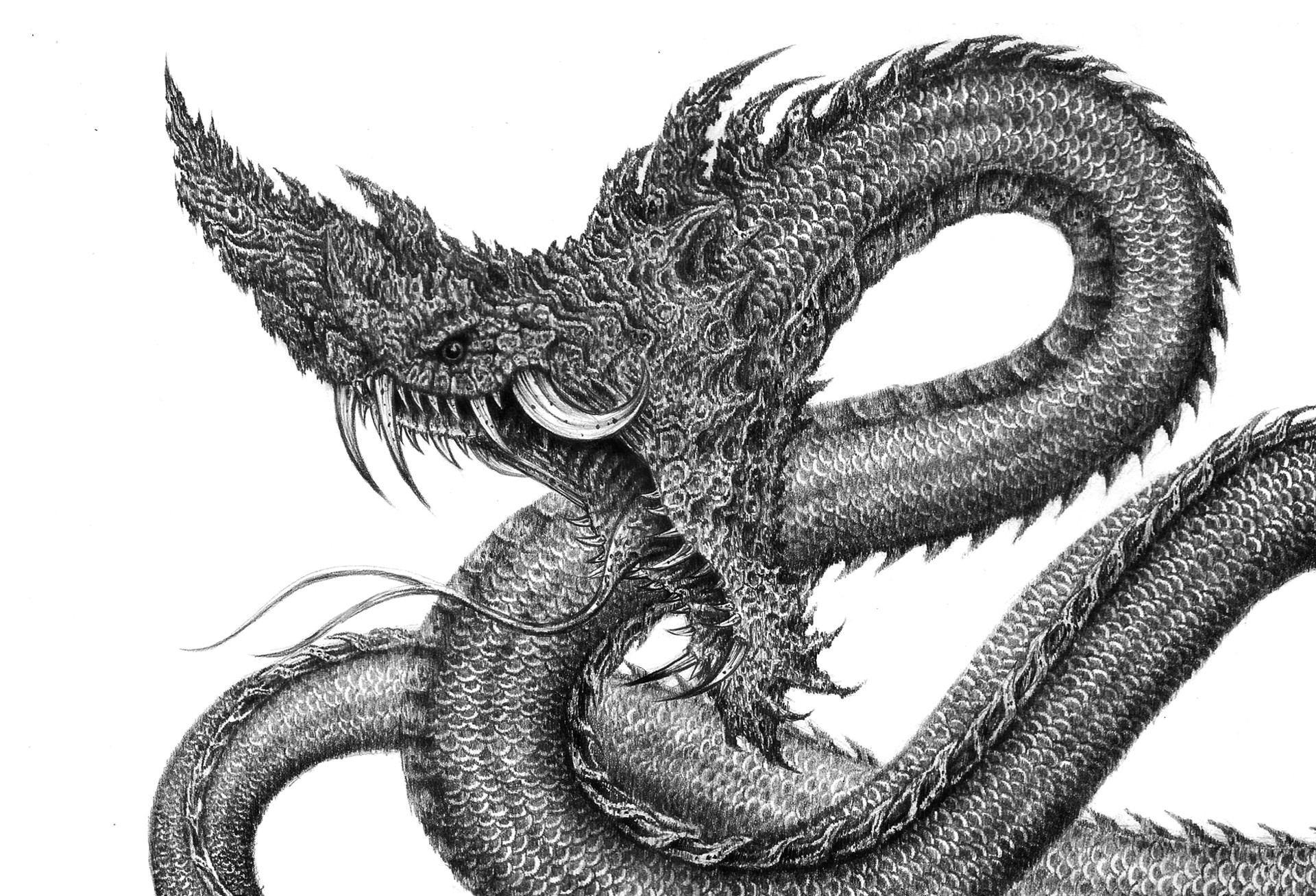 ArtStation - The Dark Naga