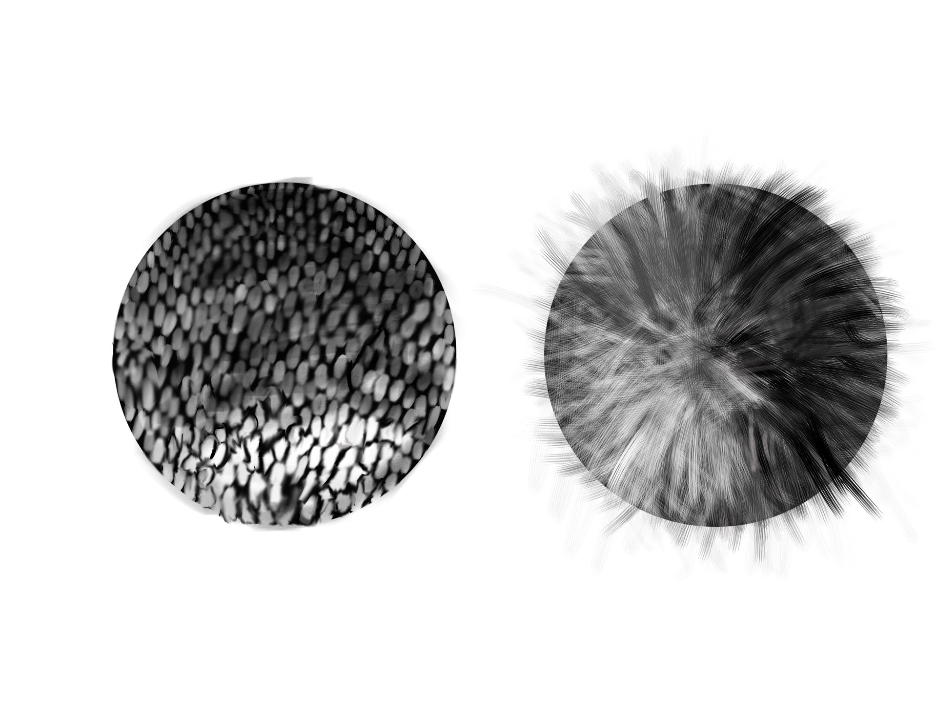 ArtStation - Material study