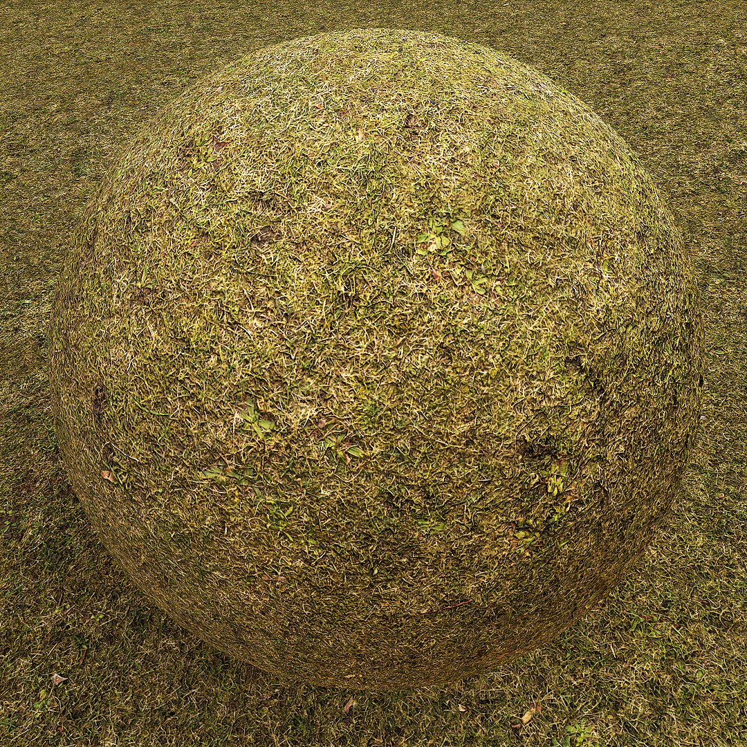 ArtStation - Grass - Photogrammetry based Environment Texture