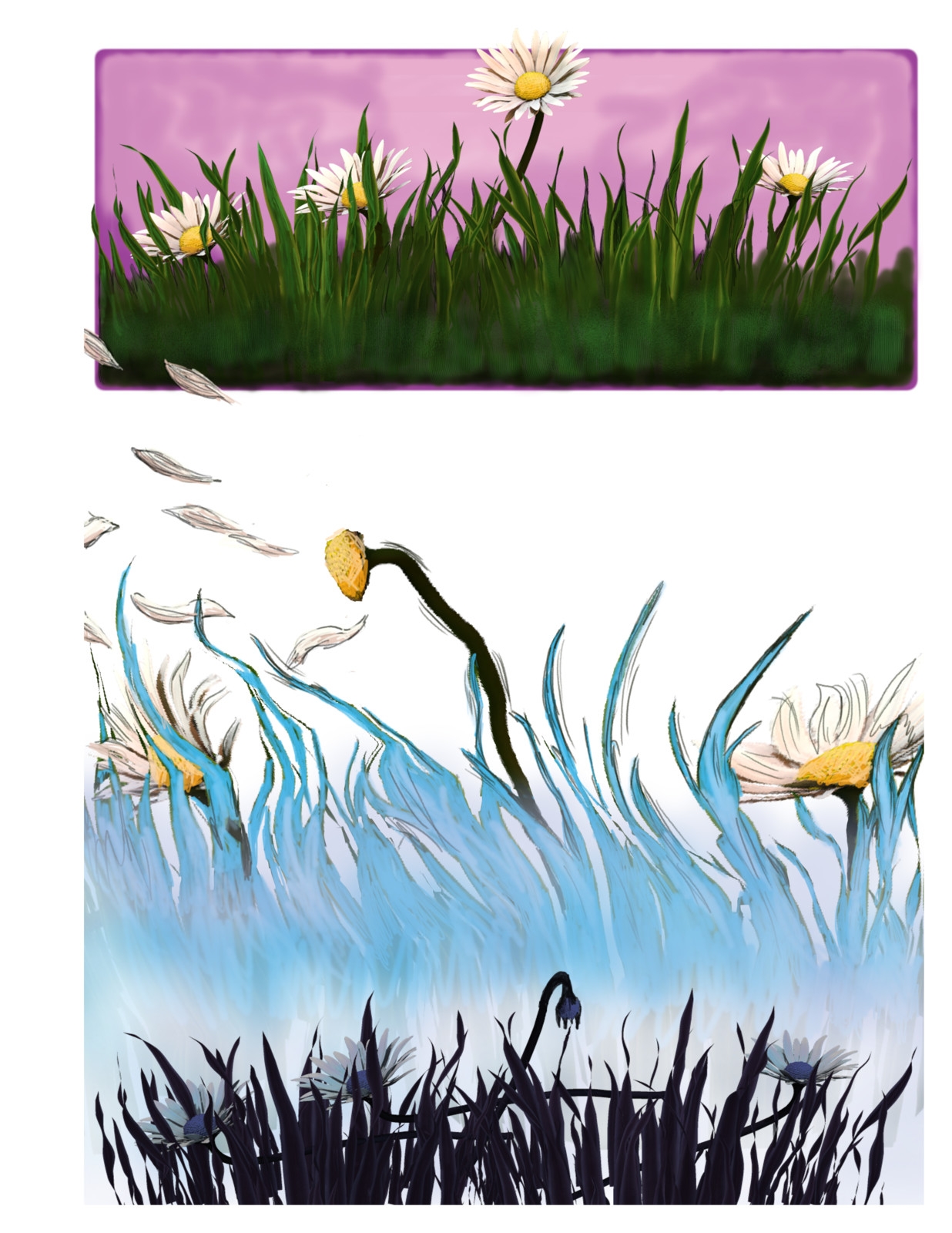 Jason Farber - Daisies.