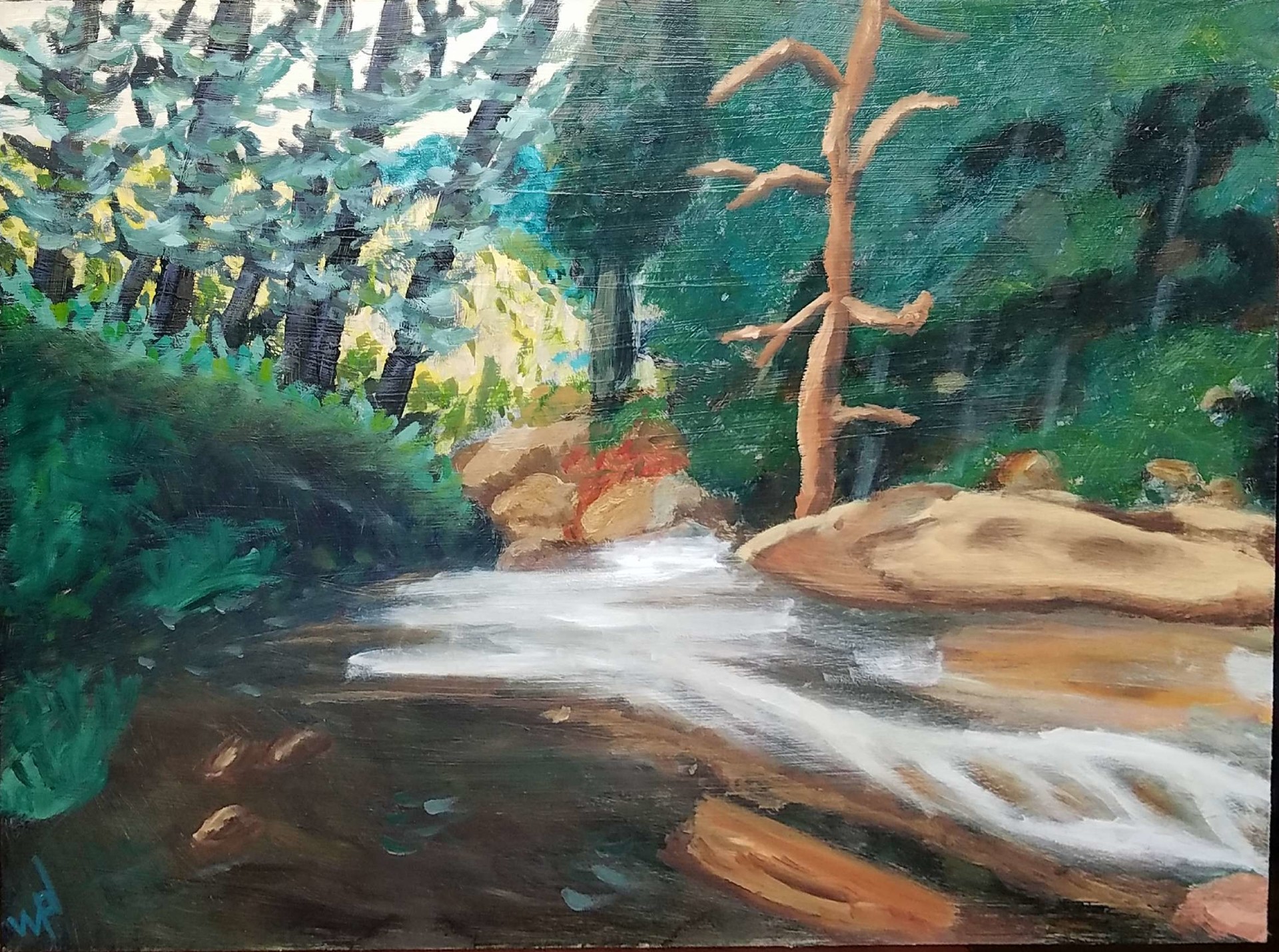 Danielle Shepherd - ART 1030