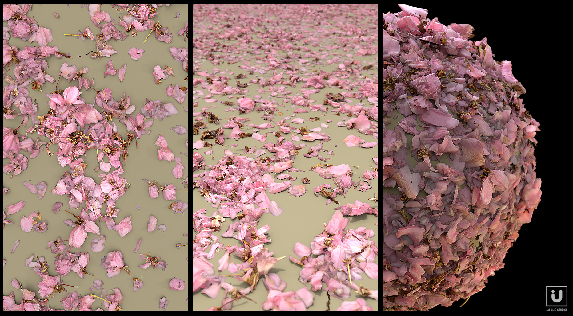 sakura flower render