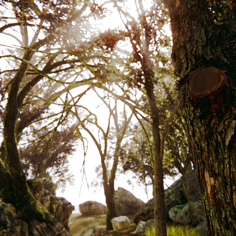 Christopher Fantauzzo