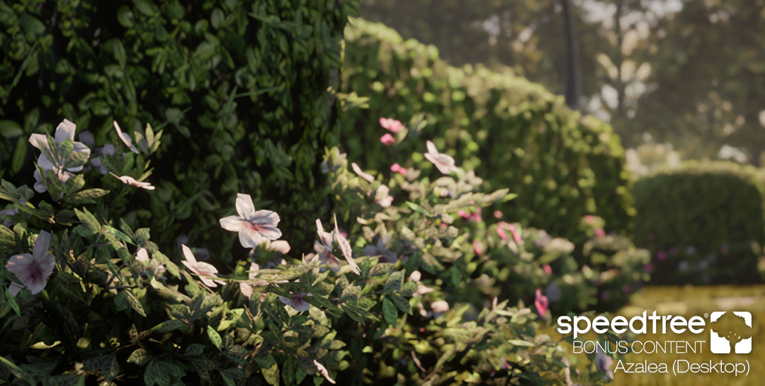 Katly Hong - May SpeedTree Bonus Content (Garden Environment)