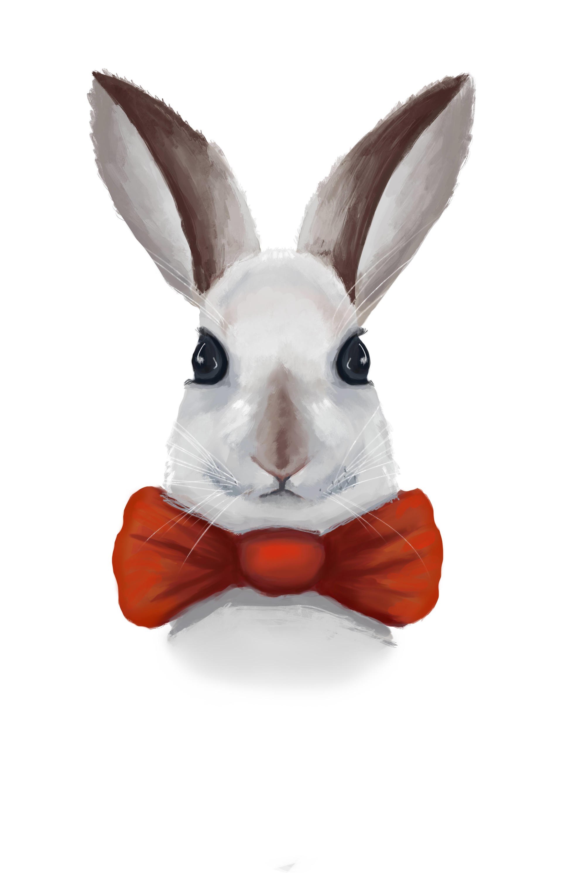 ArtStation - Mr.Rabbit