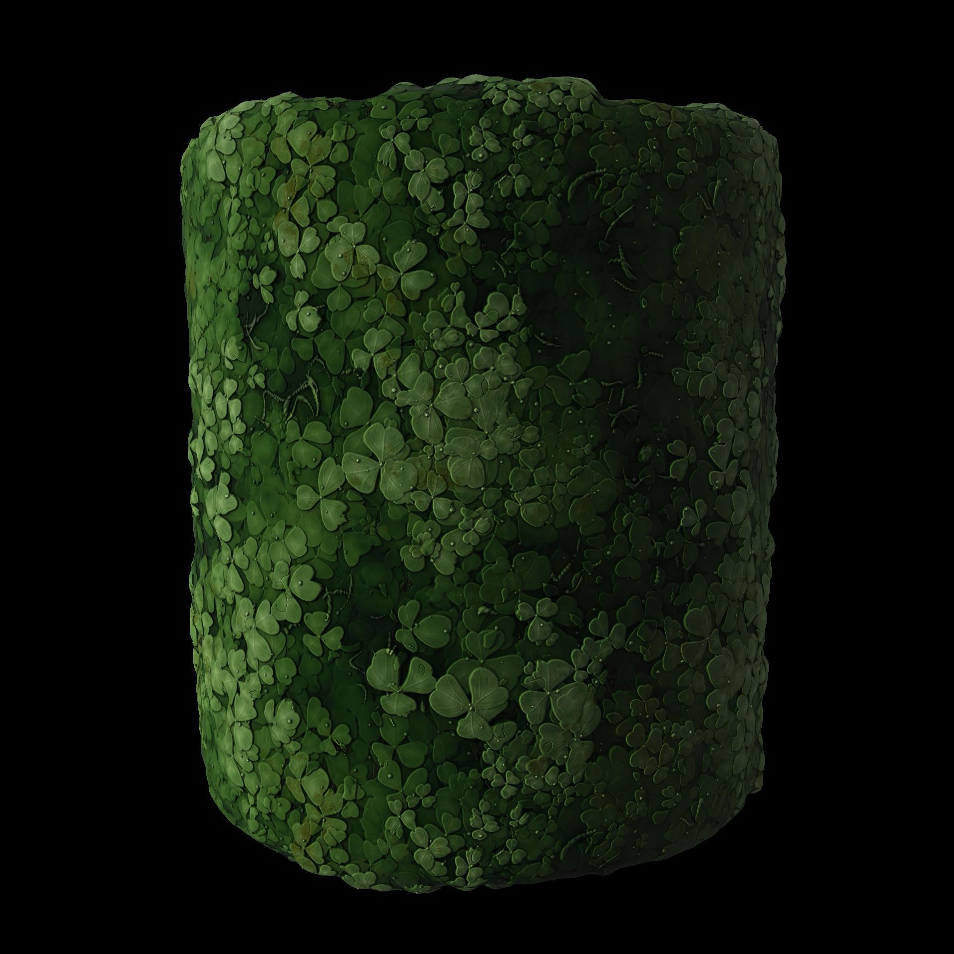 Chihi Wang - Substance Designer - Clover