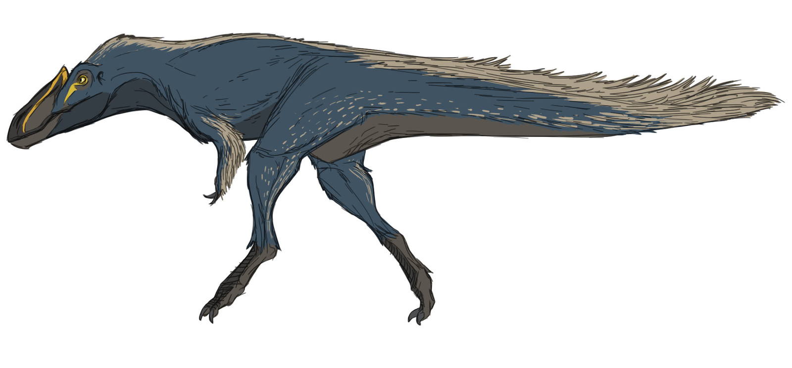 Chase Septer - Timurlengia