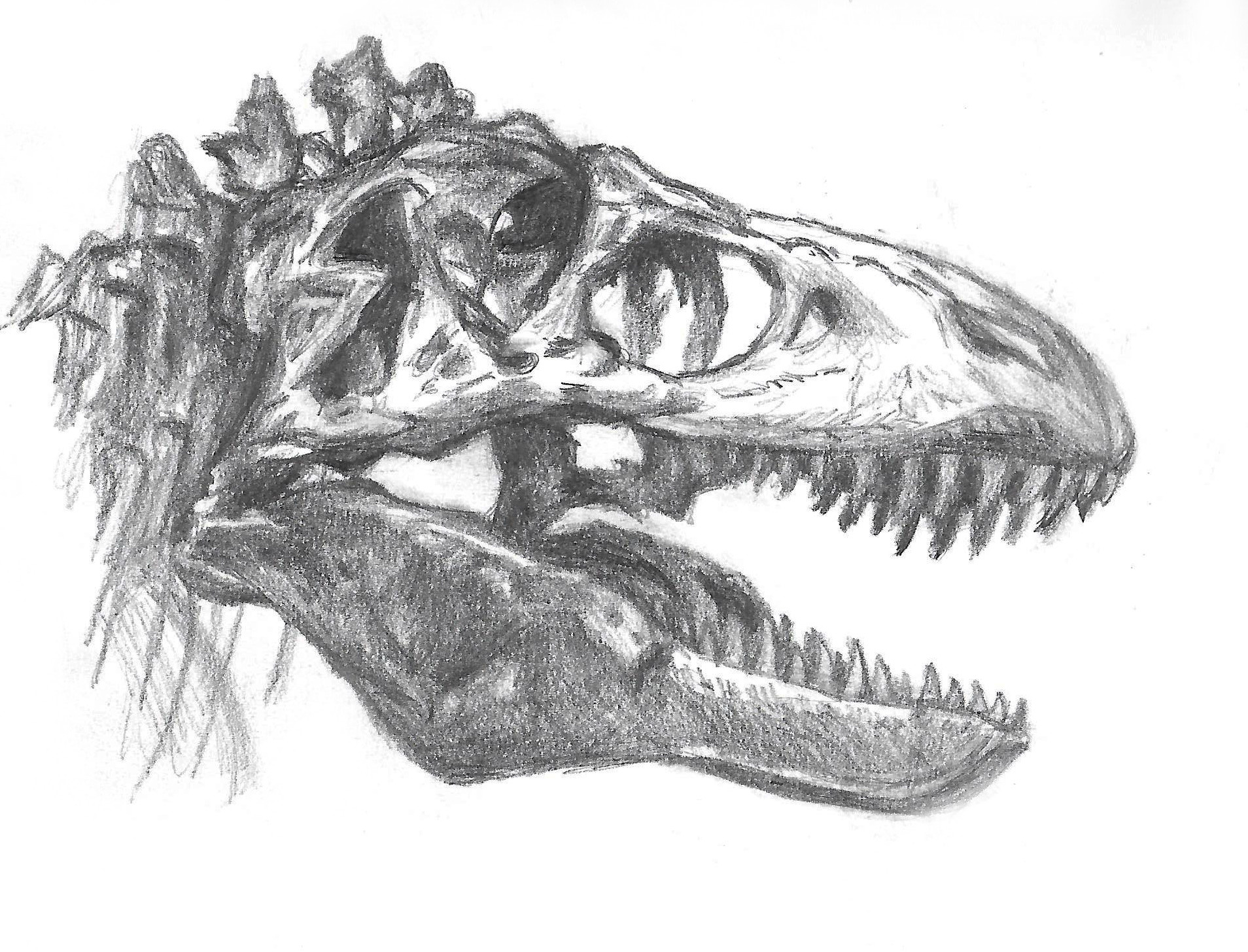 ArtStation - T. Rex