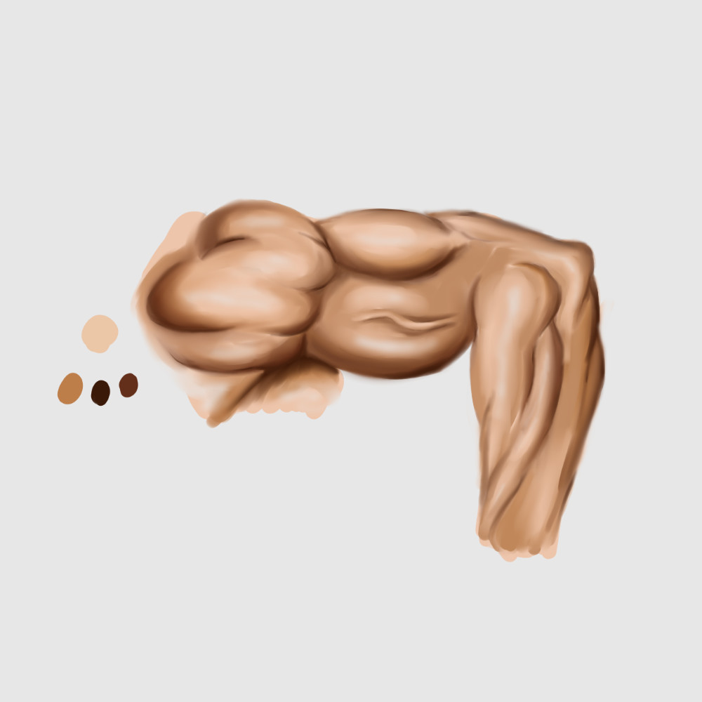 ArtStation - Anatomy Practice (Arm)