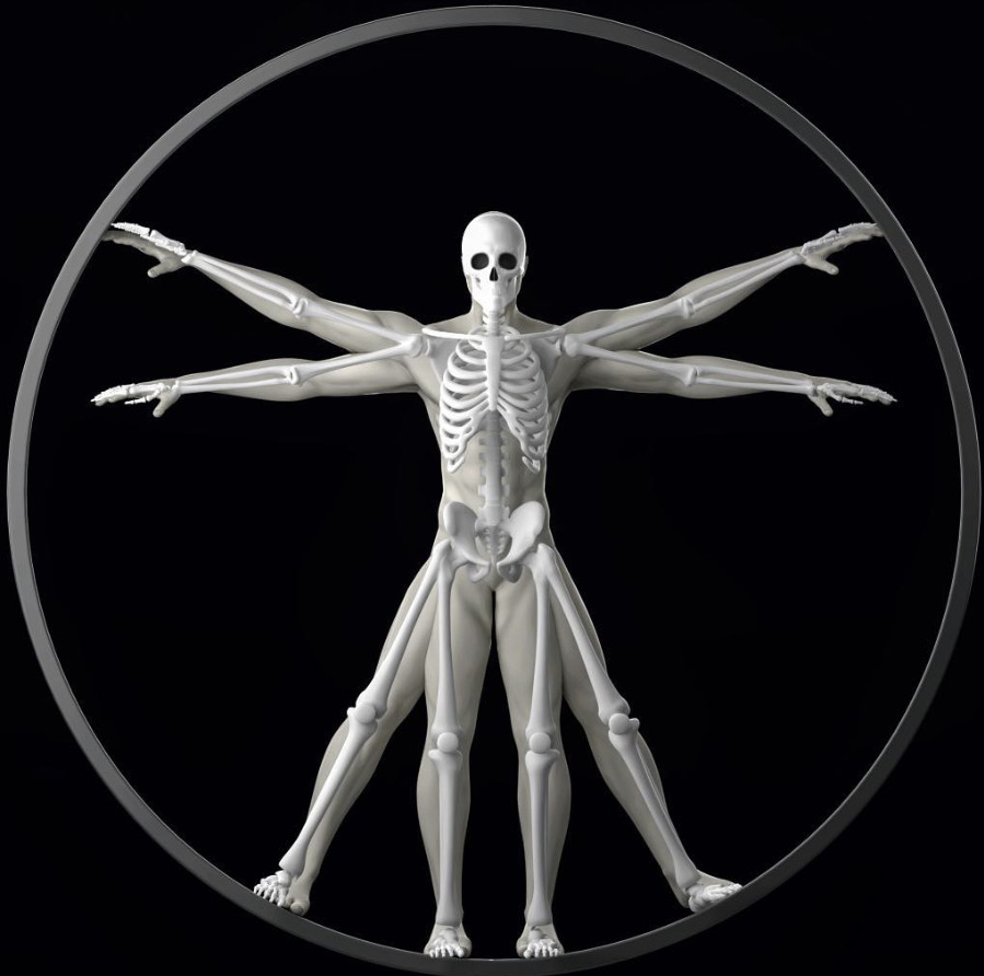 Bionickiwi - Vitruvian 3d