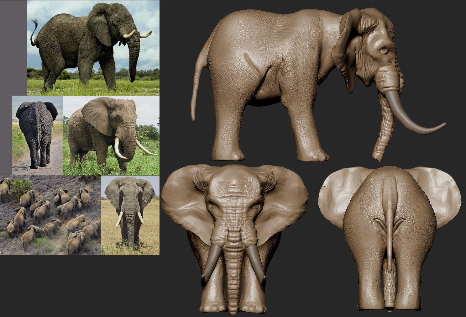 ArtStation - elephant