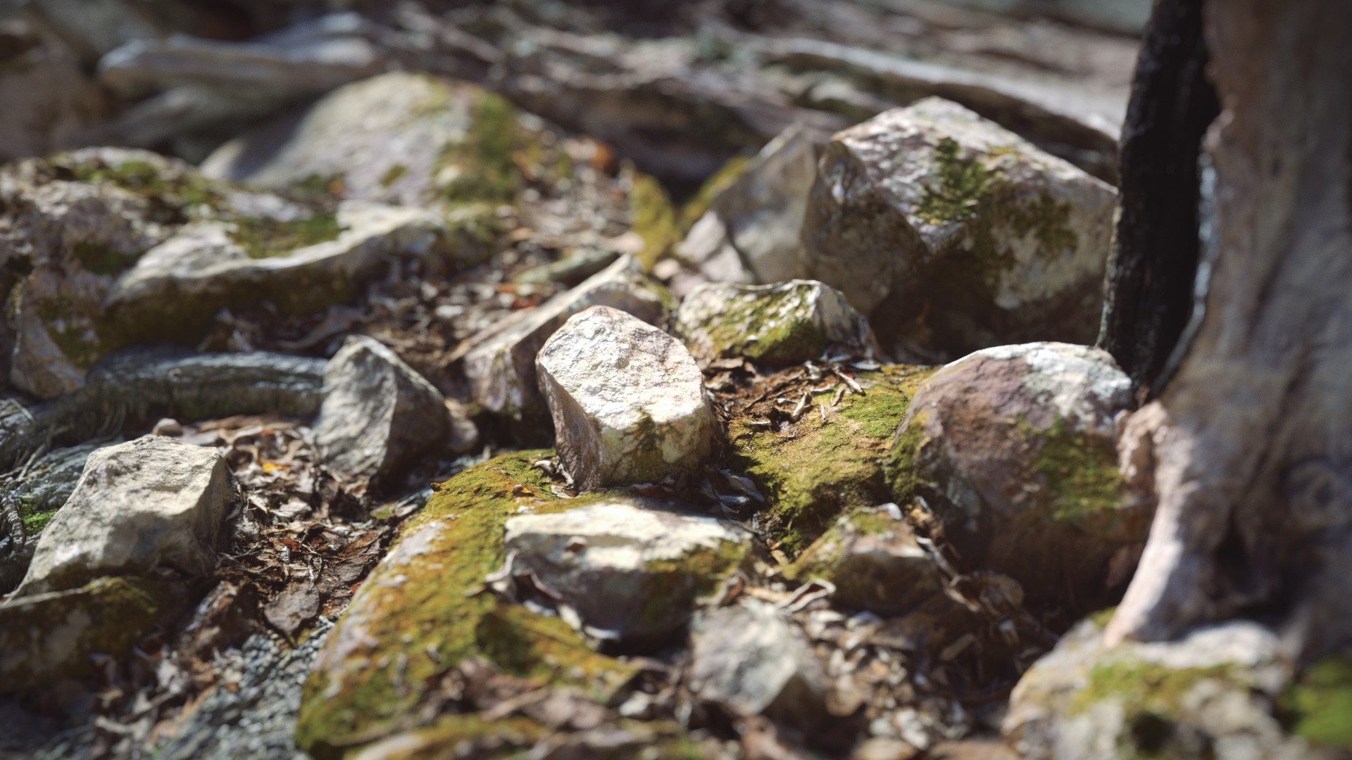 ArtStation - Mega scans + Real Displacement Texture - Micro Landscape