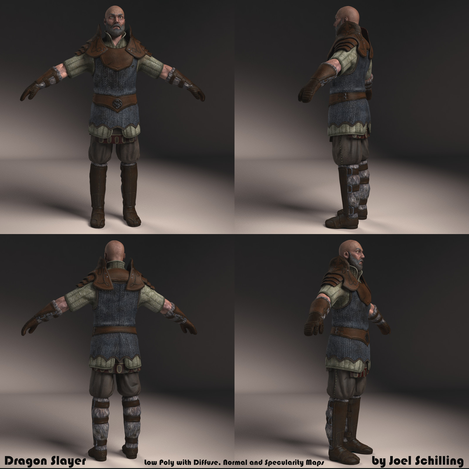 Joel Schilling - Dragon Slayer