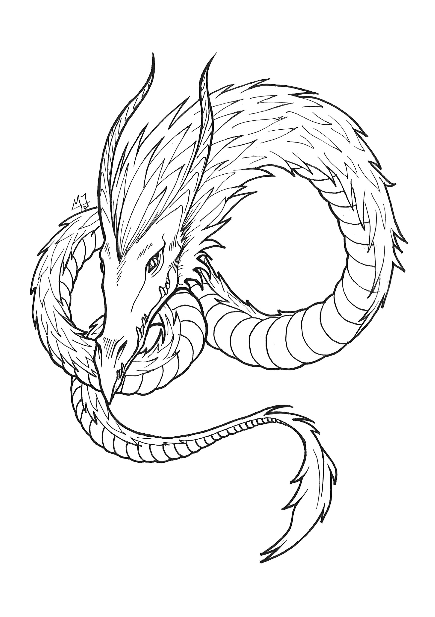 ArtStation - Bird dragon