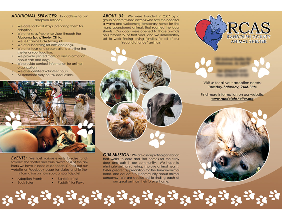 Shea Morris - Animal Shelter Document Designs