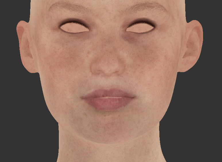 Human Face Texture Map