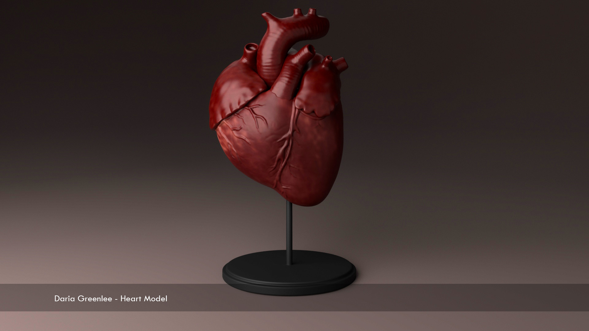 ArtStation - Human Heart