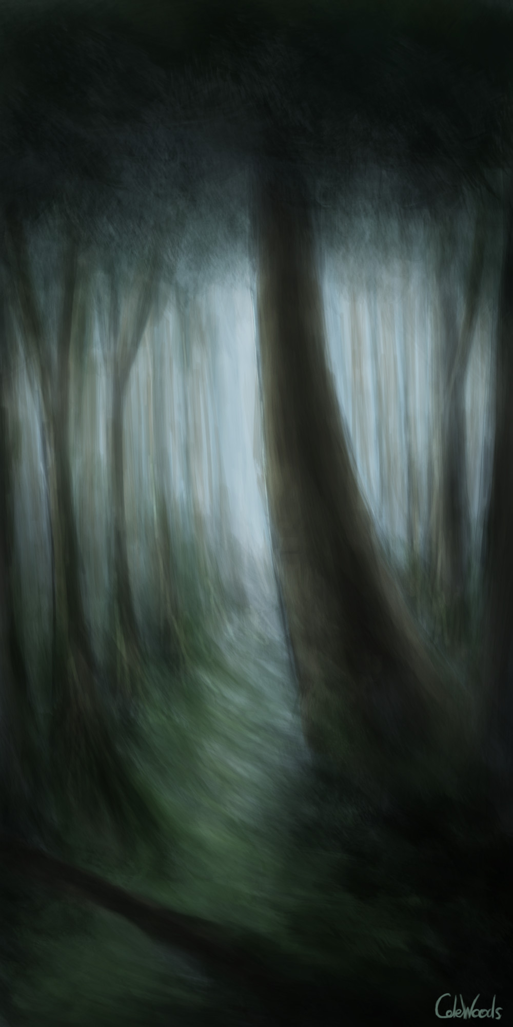 ArtStation - Ominous Forest