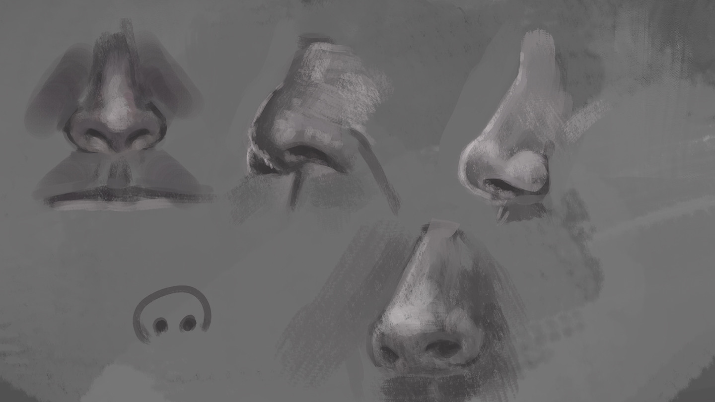 ArtStation - nose studies