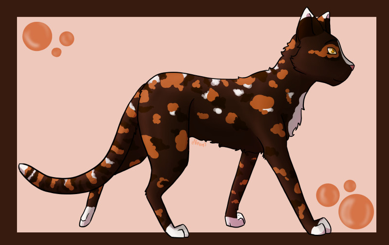 spottedleaf warriors