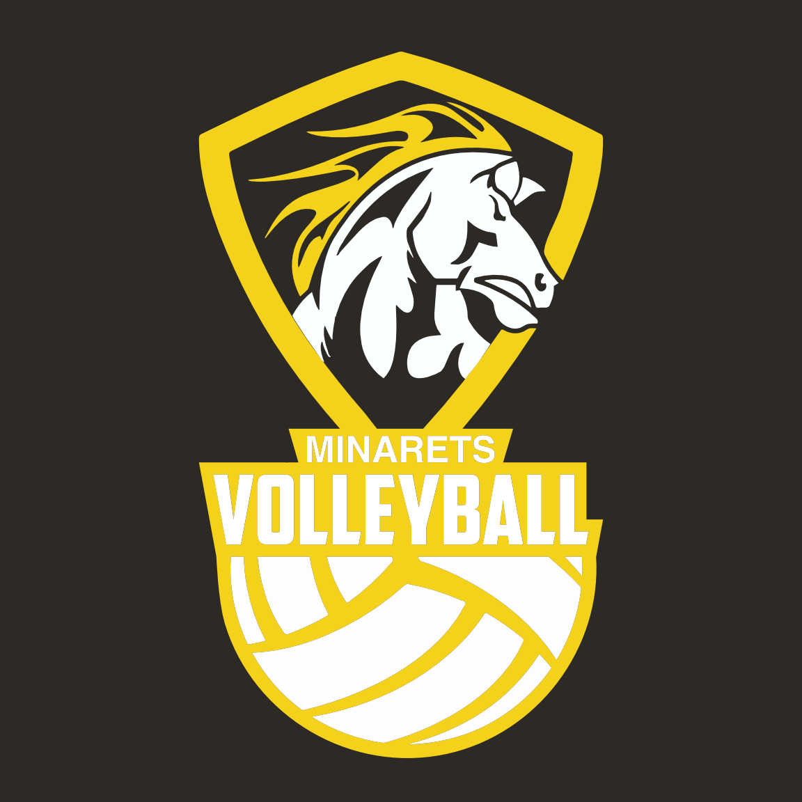 Vince Cheney - Minarets Volleyball