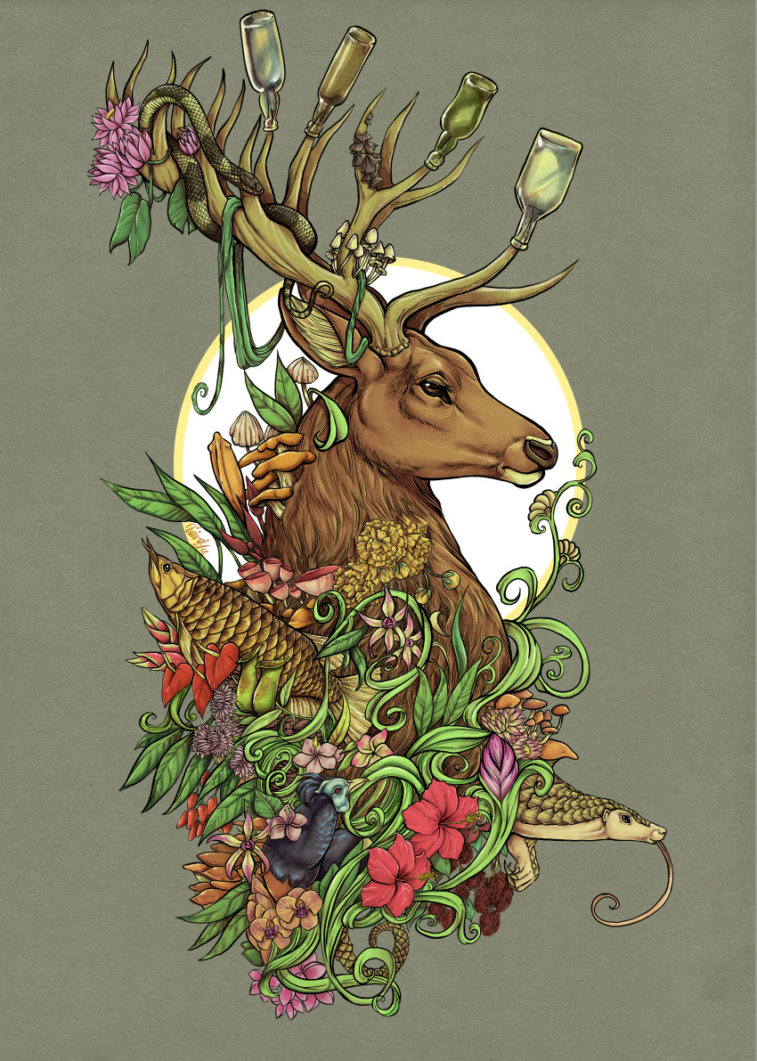 competition animals drawing