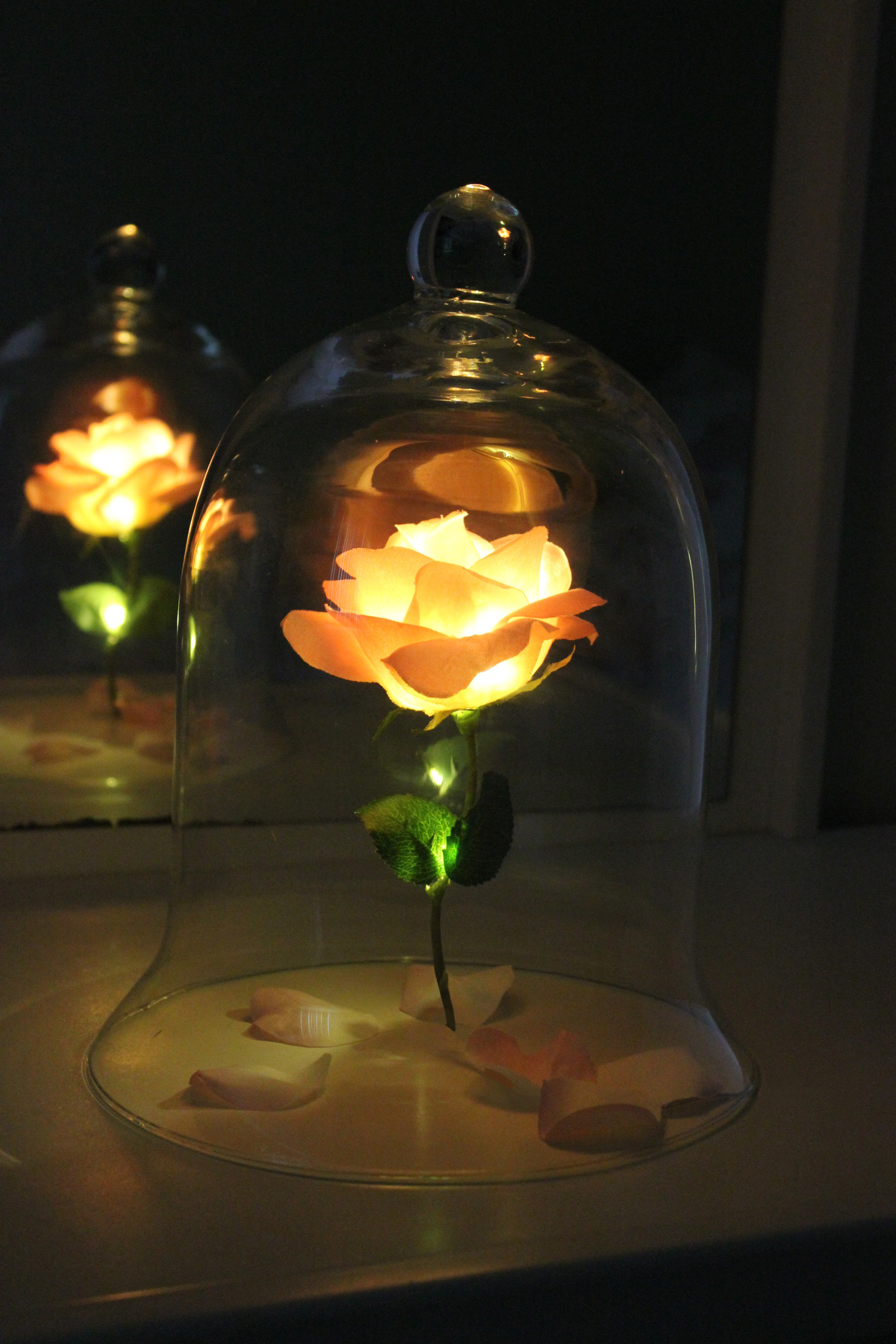 Nicole Aouad - Enchanted Rose Light