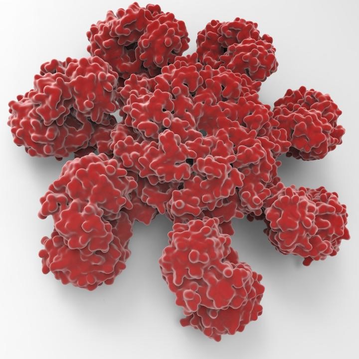 Nik Willmore - Rhino/Grasshopper/Python