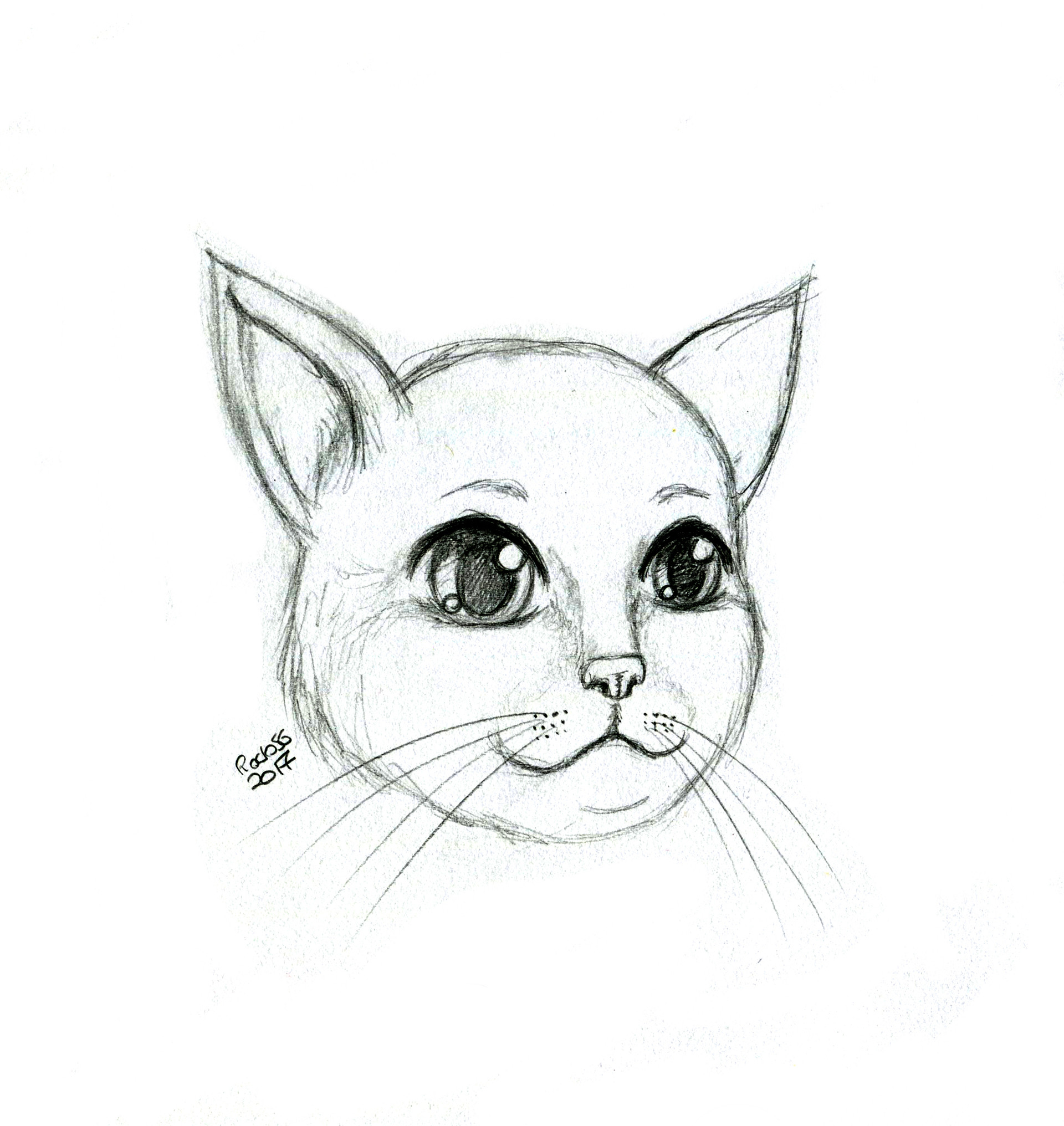 ArtStation - Cat sketch